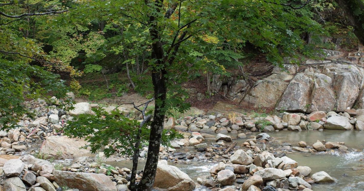 Abukuma River | Scenes of New Habitations